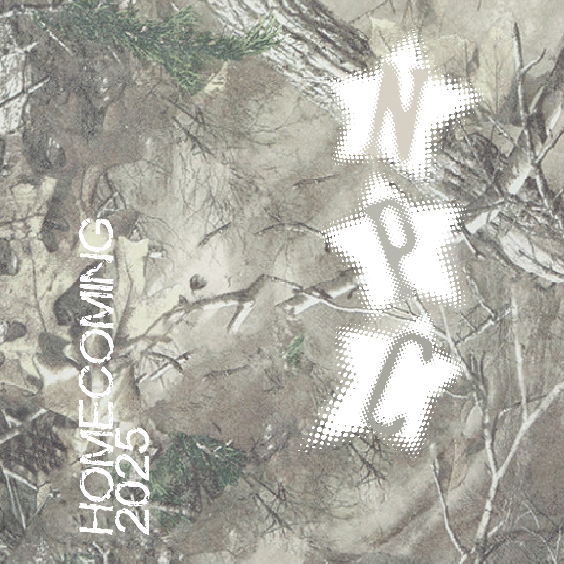 National Panhellenic Conference Homecoming Halftone Stars on Camo ...