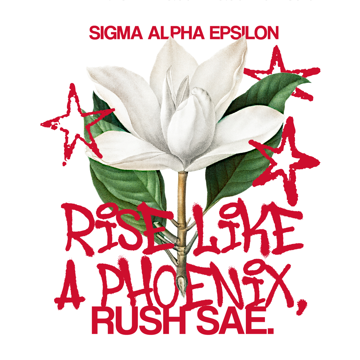 Sigma Alpha Epsilon Magnolia Flower with Graffiti Text in Red Rush ...
